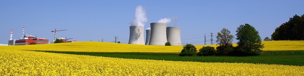 Retrofit and Custom Designed Nuclear Filter Elements